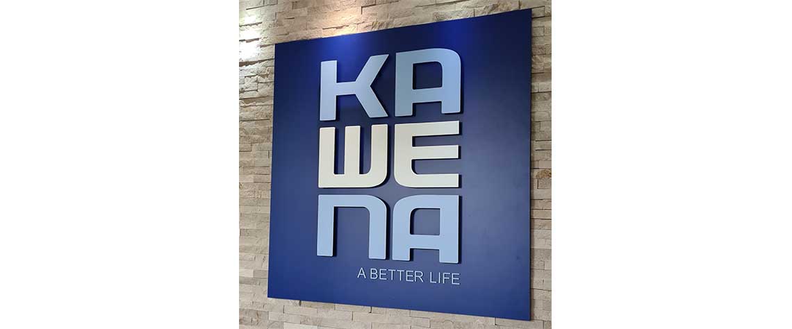 Armazéns de “madjôni djôni”: Cadeia de distribuição sul-africana Kawena ...